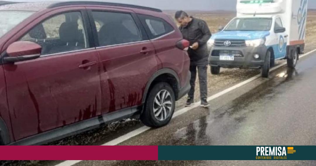 Premisa - Contenidos Digitales